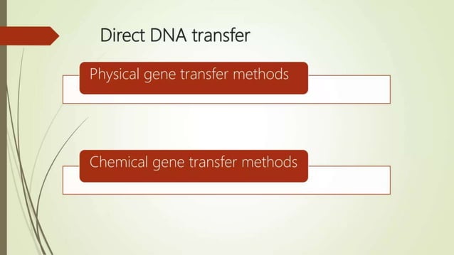 GENE-TRANSFER-METHODS.pptx.BSFLECTURENOTE | PPTX