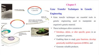 Gene-Transfer-Techniques-in-Genetic-Engineering chapter-5.pptx