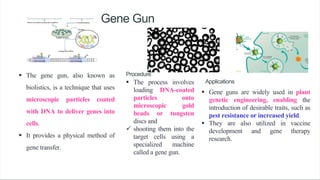 Gene-Transfer-Techniques-in-Genetic-Engineering chapter-5.pptx