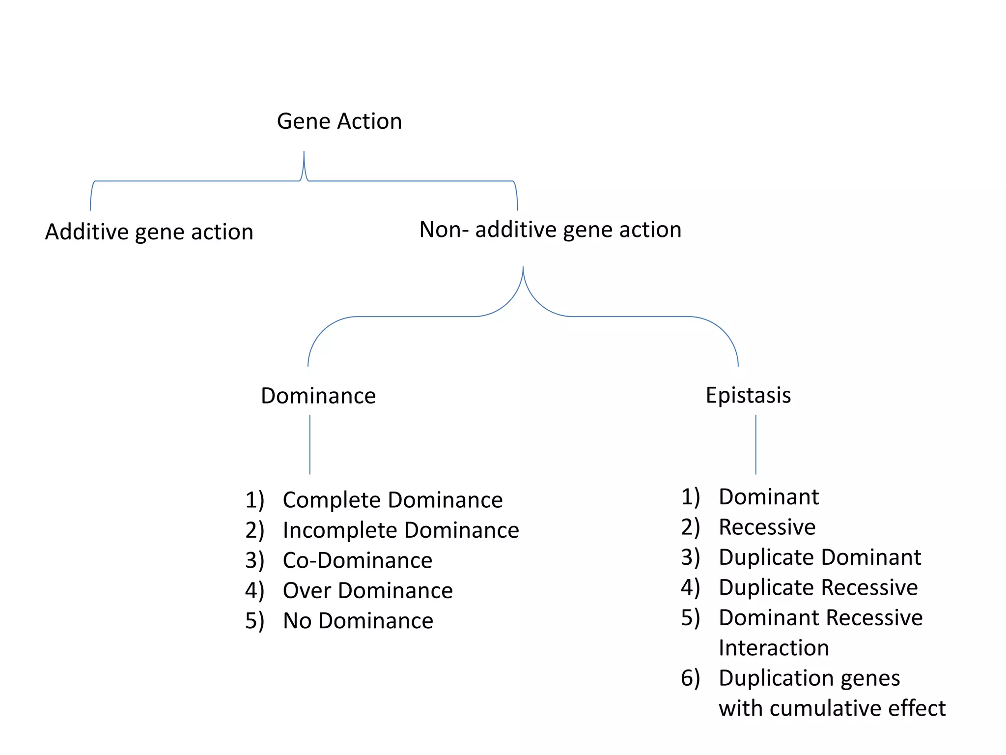 Gene_actions_.pptx