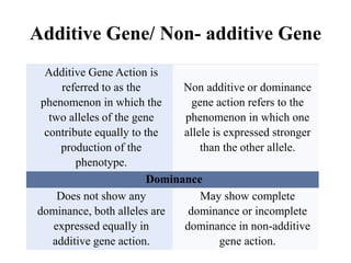 Gene_actions_.pptx