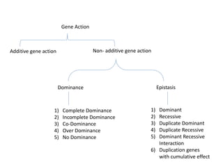 Gene_actions_.pptx
