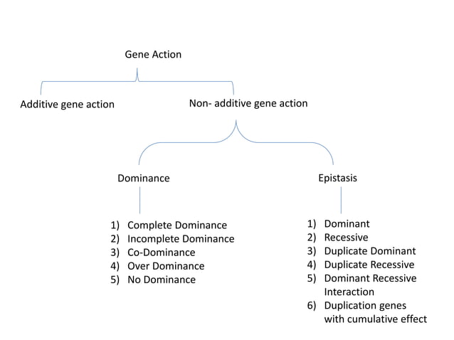 Gene_actions_.pptx