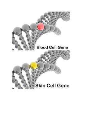 Gene activation | PDF
