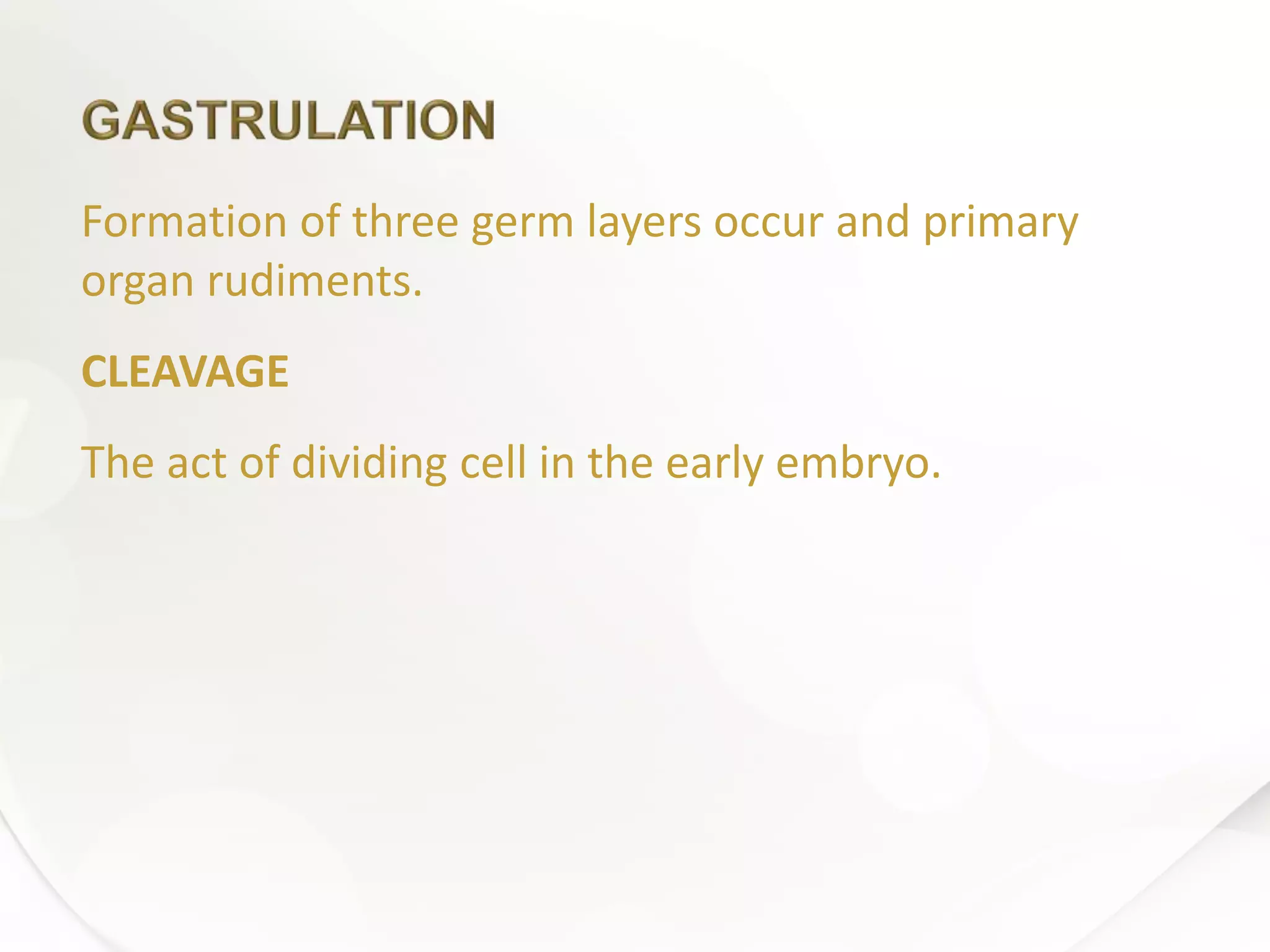 Gene activity during gastrulation | PPTX
