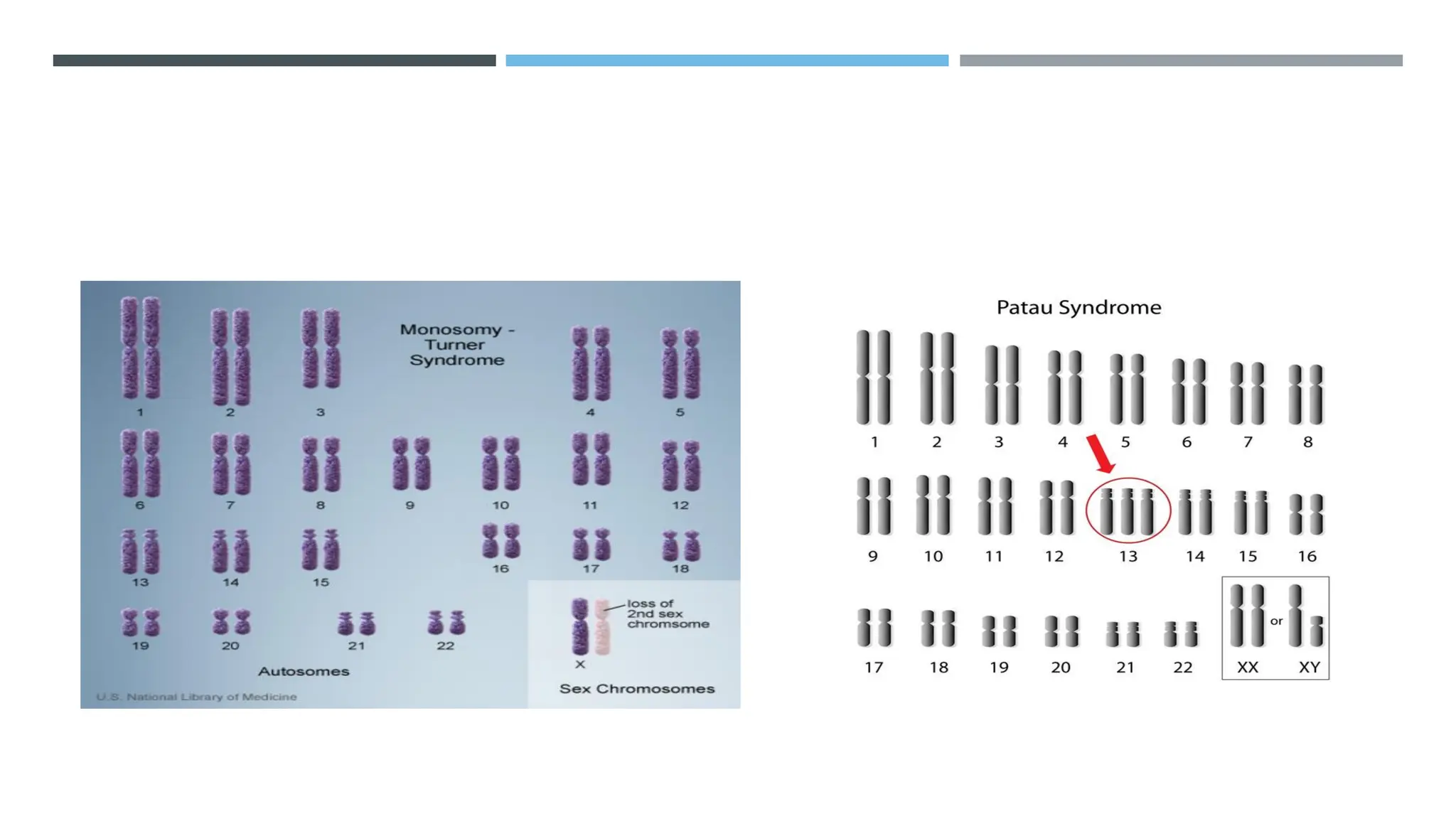 Gene Alterations, Mutations, chromosomal abnormalities.pdf
