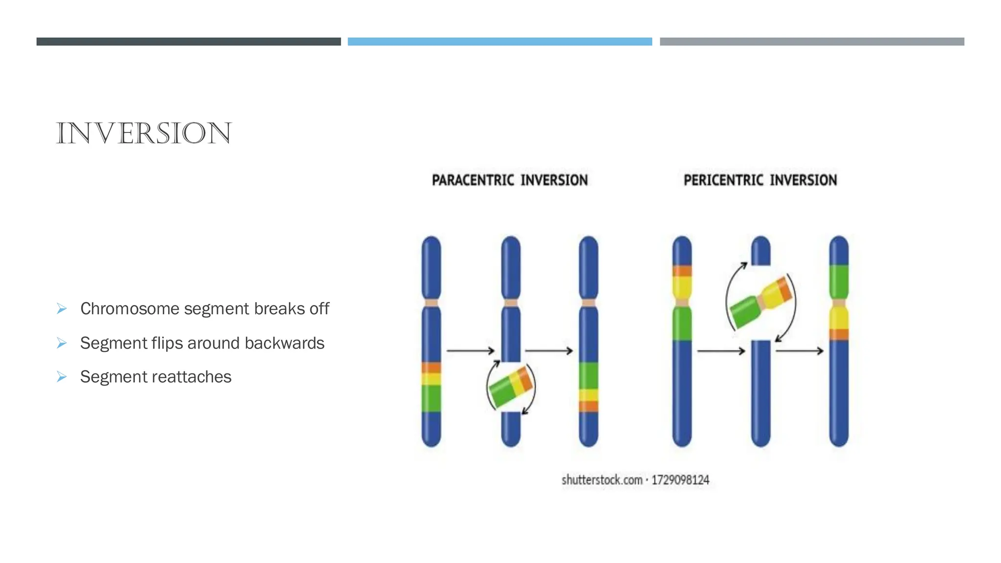 Gene Alterations, Mutations, chromosomal abnormalities.pdf