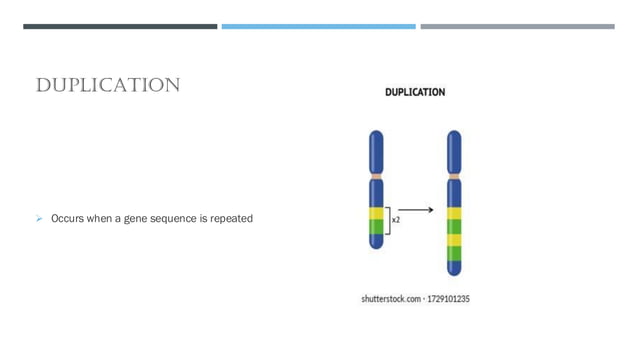 Gene Alterations, Mutations, chromosomal abnormalities.pdf
