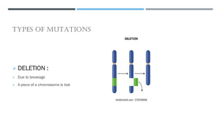 Gene Alterations, Mutations, chromosomal abnormalities.pdf