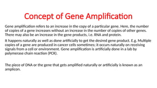 Gene Amplification 1111111111111111.pptx