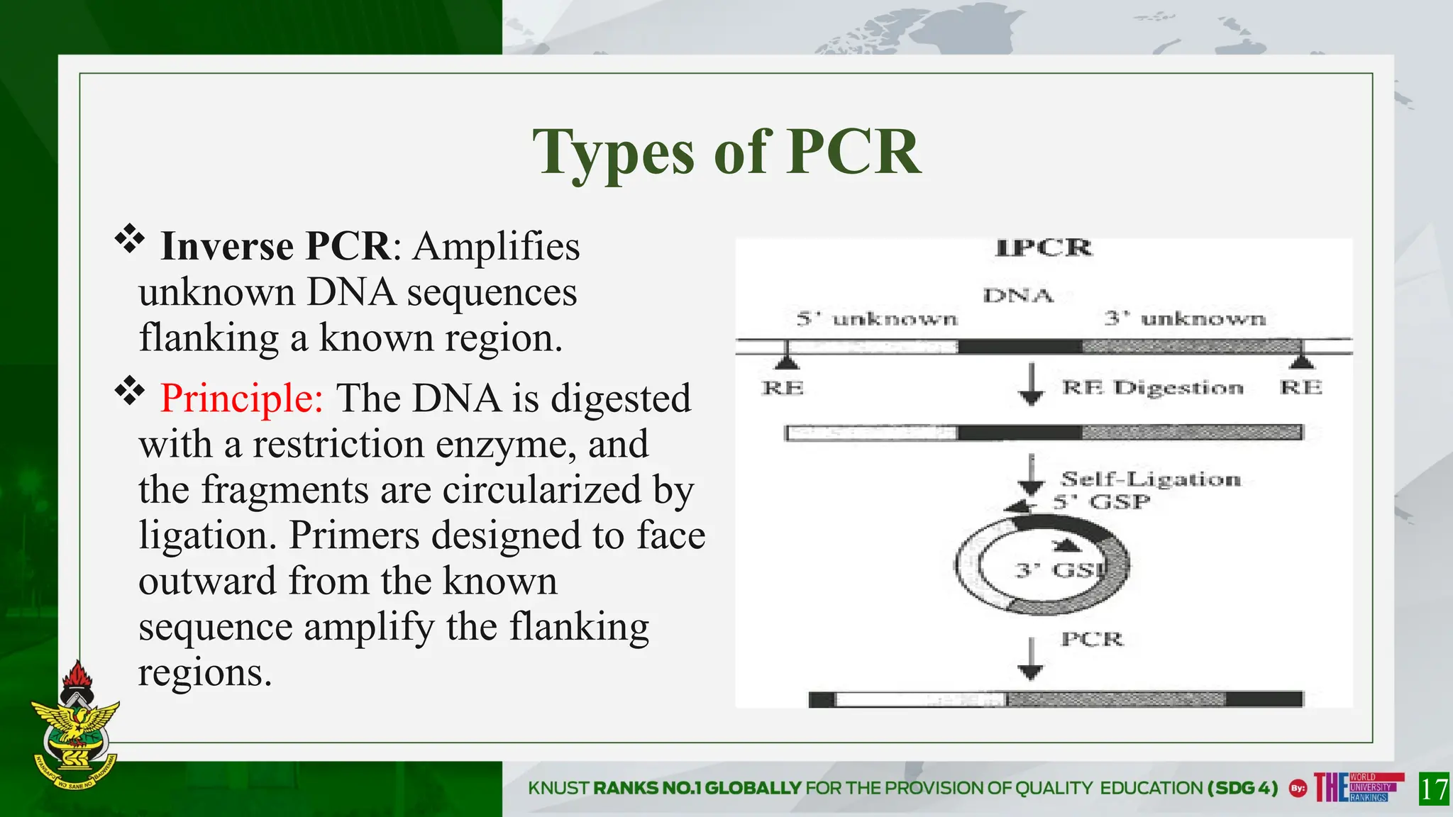 GENE_AMPLIFICATION_PROCESSES (NAT/ART).pptx