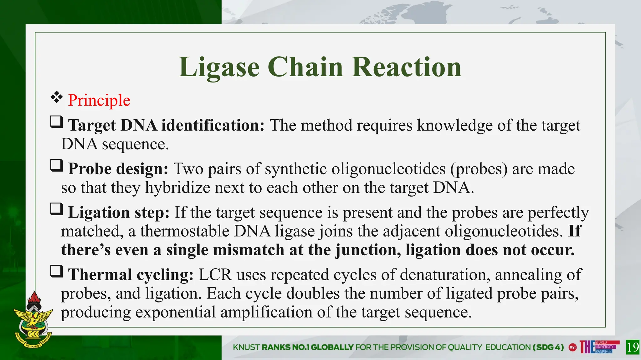 GENE_AMPLIFICATION_PROCESSES (NAT/ART).pptx