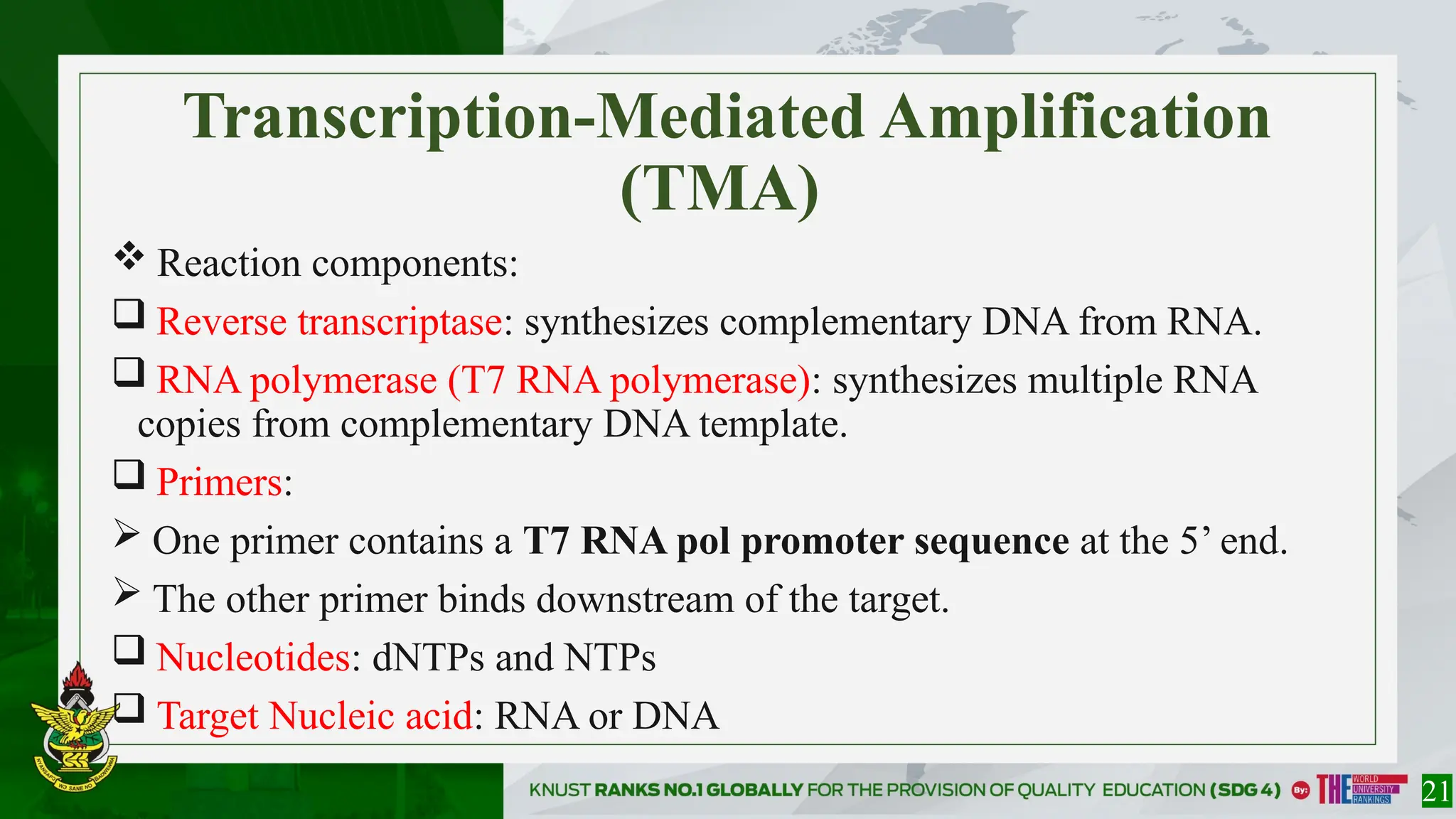 GENE_AMPLIFICATION_PROCESSES-ADV_BIOTECH_ FINAL SLIDES 2682025[1].pptx