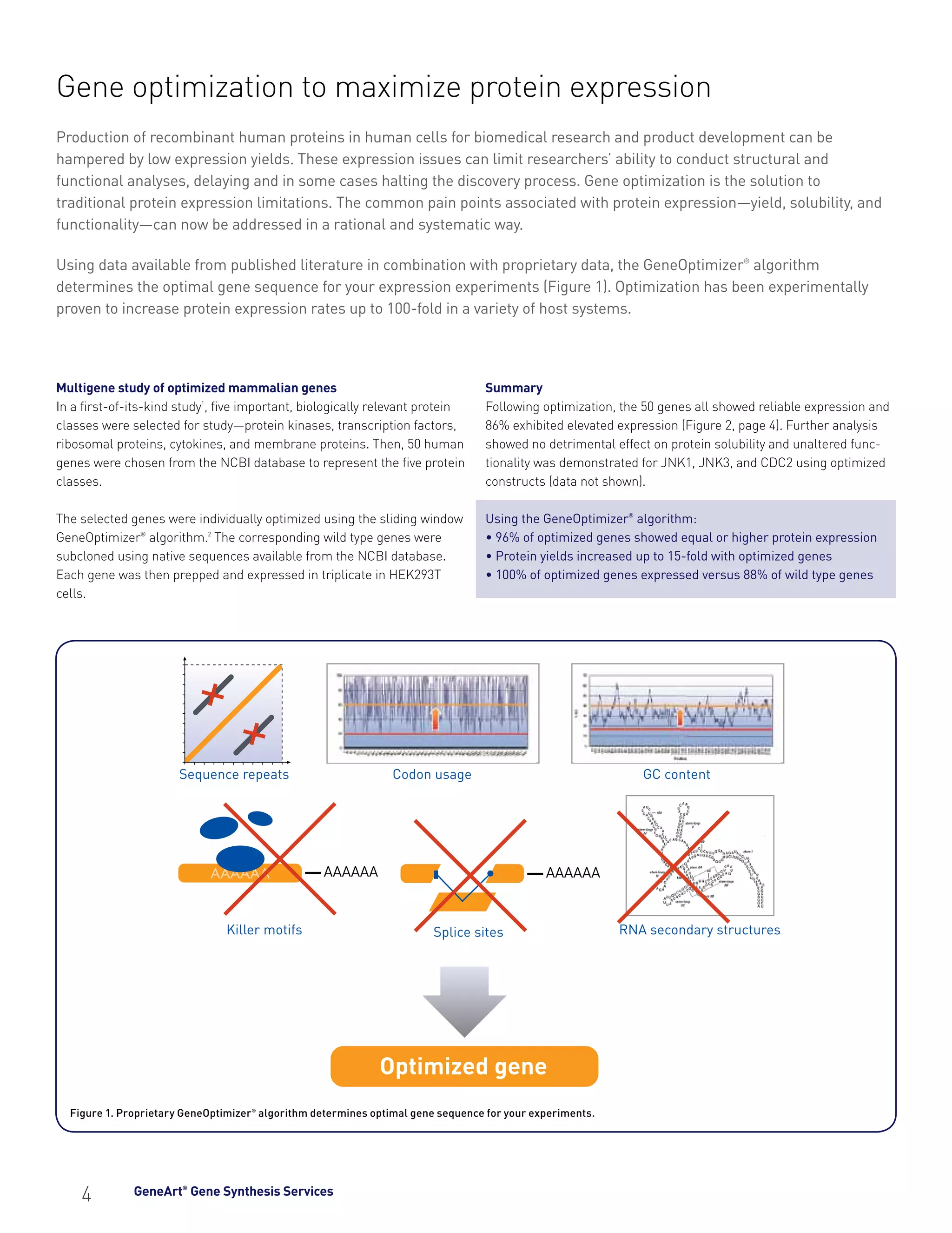 GeneArt® services - Gene synthesis through protein production | PDF | Programming Languages ...