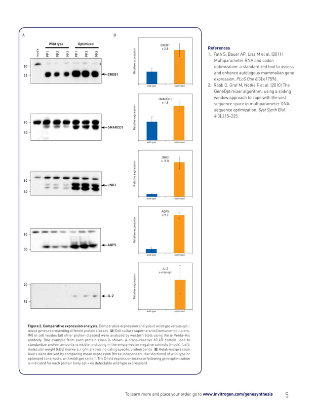 GeneArt® services - Gene synthesis through protein production | PDF