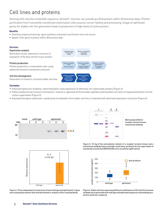 GeneArt® services - Gene synthesis through protein production | PDF