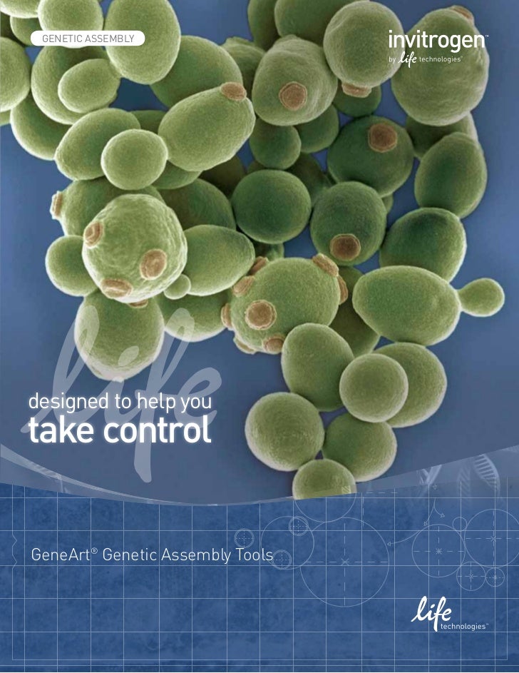 GeneArt® Seamless Cloning and Assembly Kit