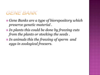 Gene bank | PPTX