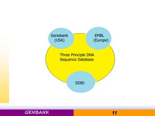 Gene bank by kk sahu | PPT