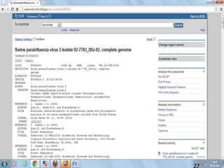 Gene bank by kk sahu | PPT