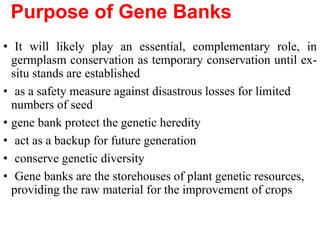 Gene bank.pptx