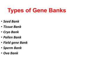 Gene bank.pptx
