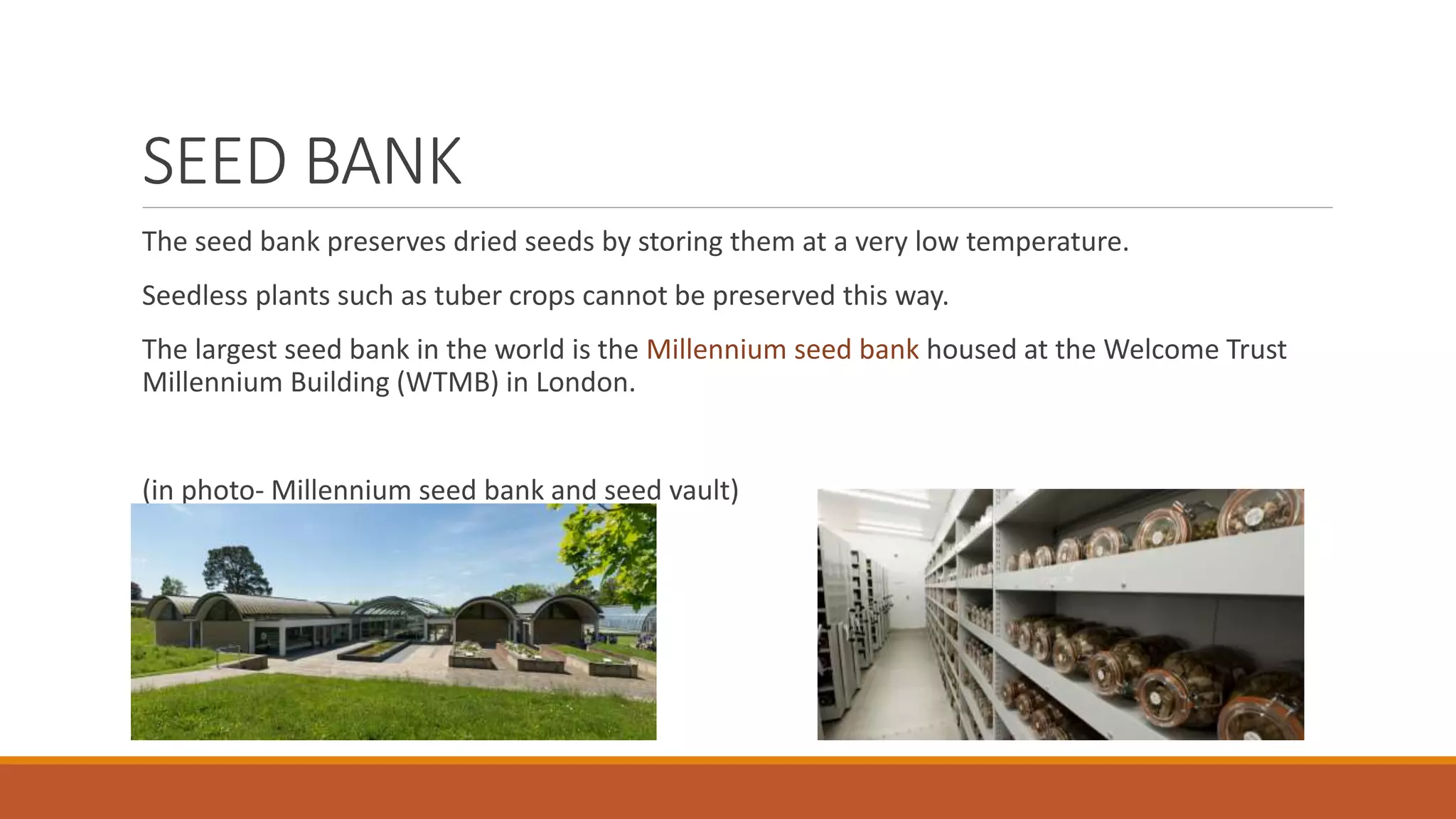 Gene bank and biobank | PPTX