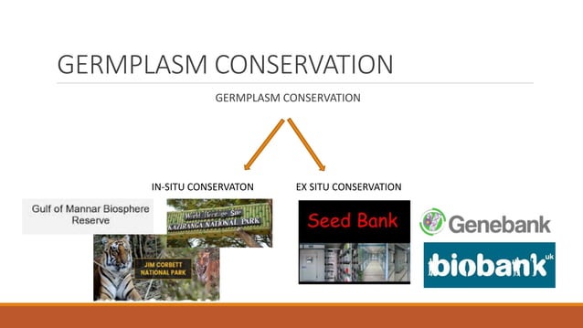 Gene bank and biobank | PPTX