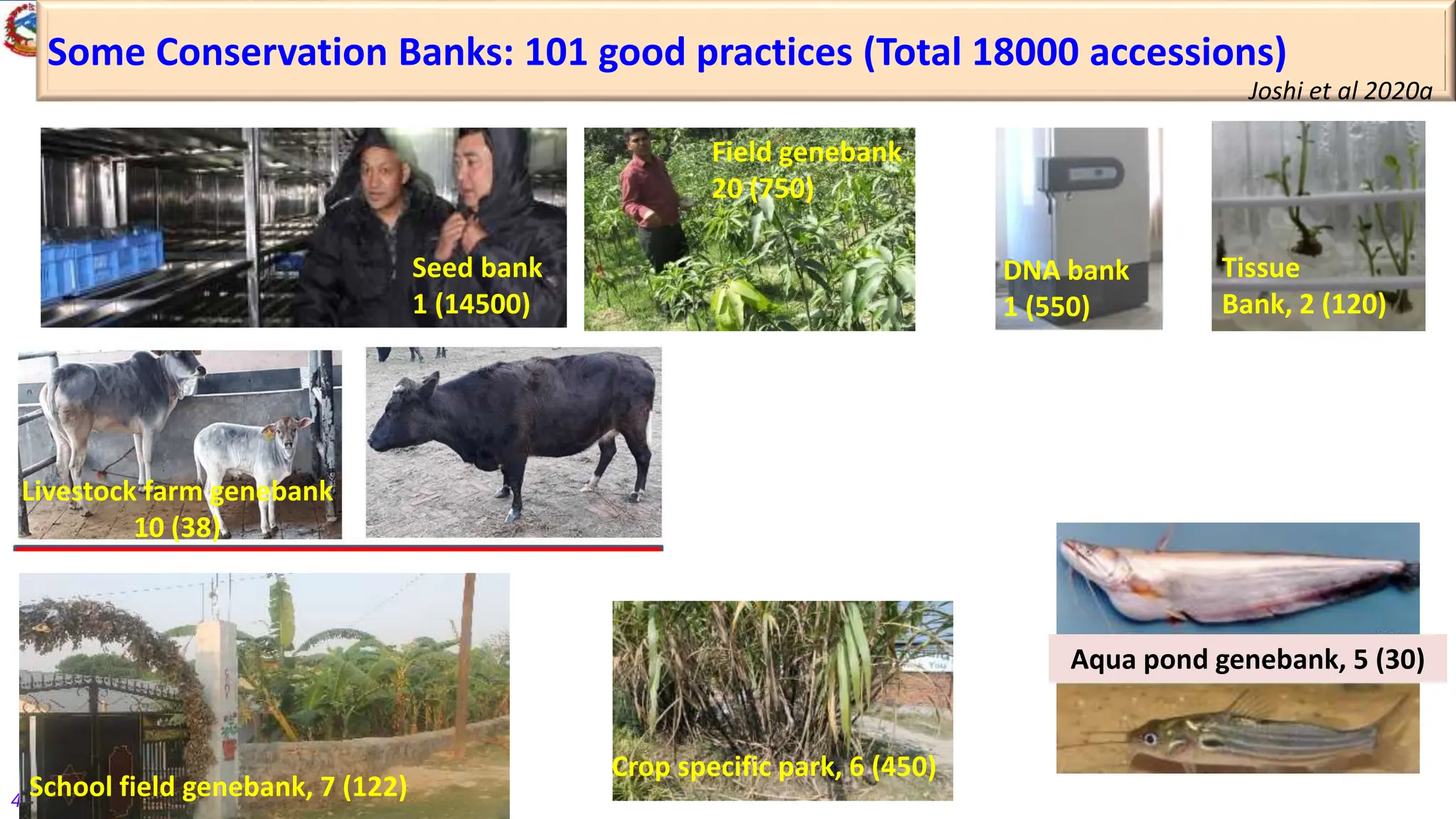 National Genebank (National Agriculture Genetic Resources Center) | PPTX