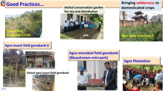National Genebank (National Agriculture Genetic Resources Center) | PPTX