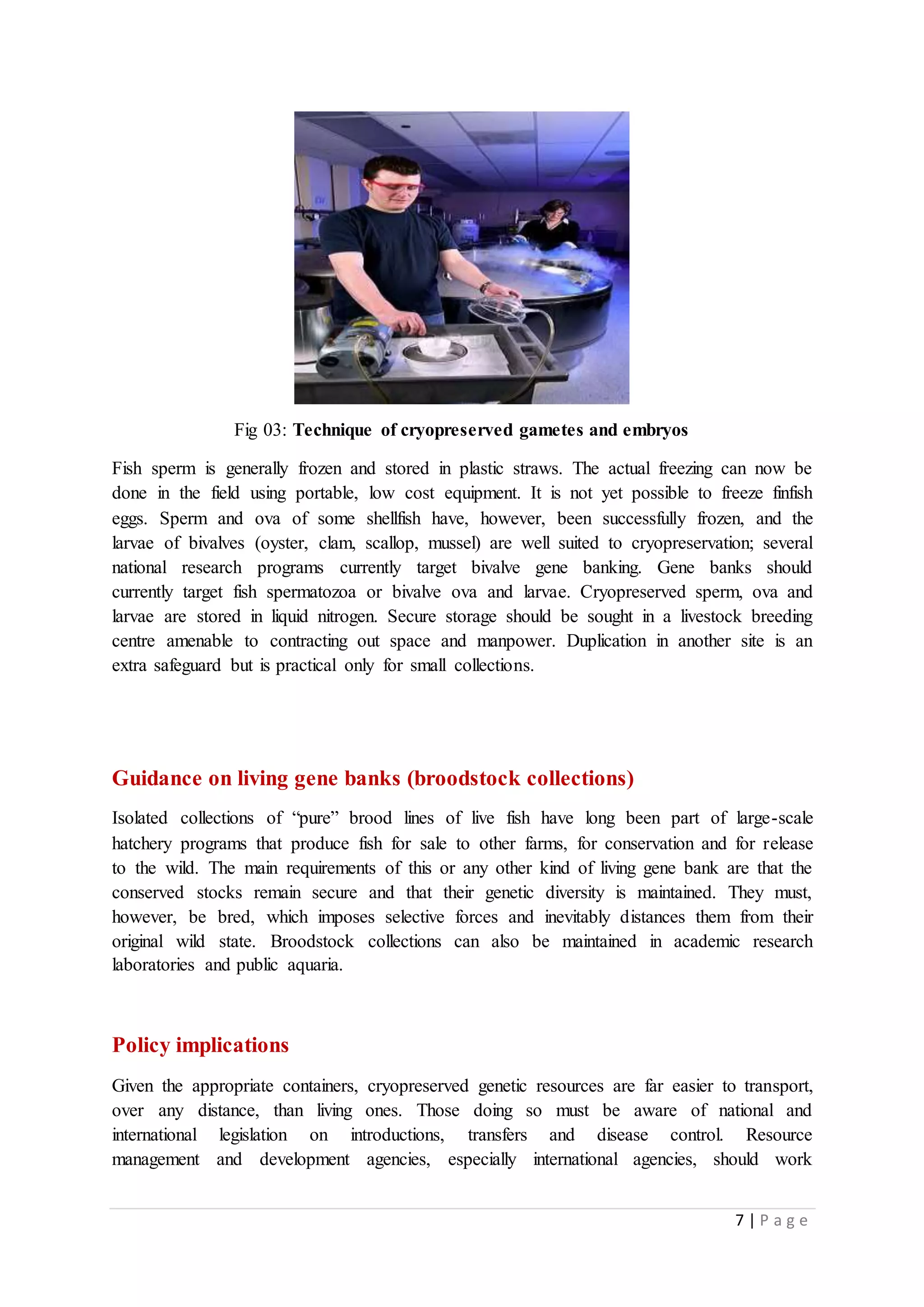 gene banking in fisheries | DOCX