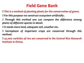Gene banks | PPT