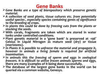 Gene banks | PPT