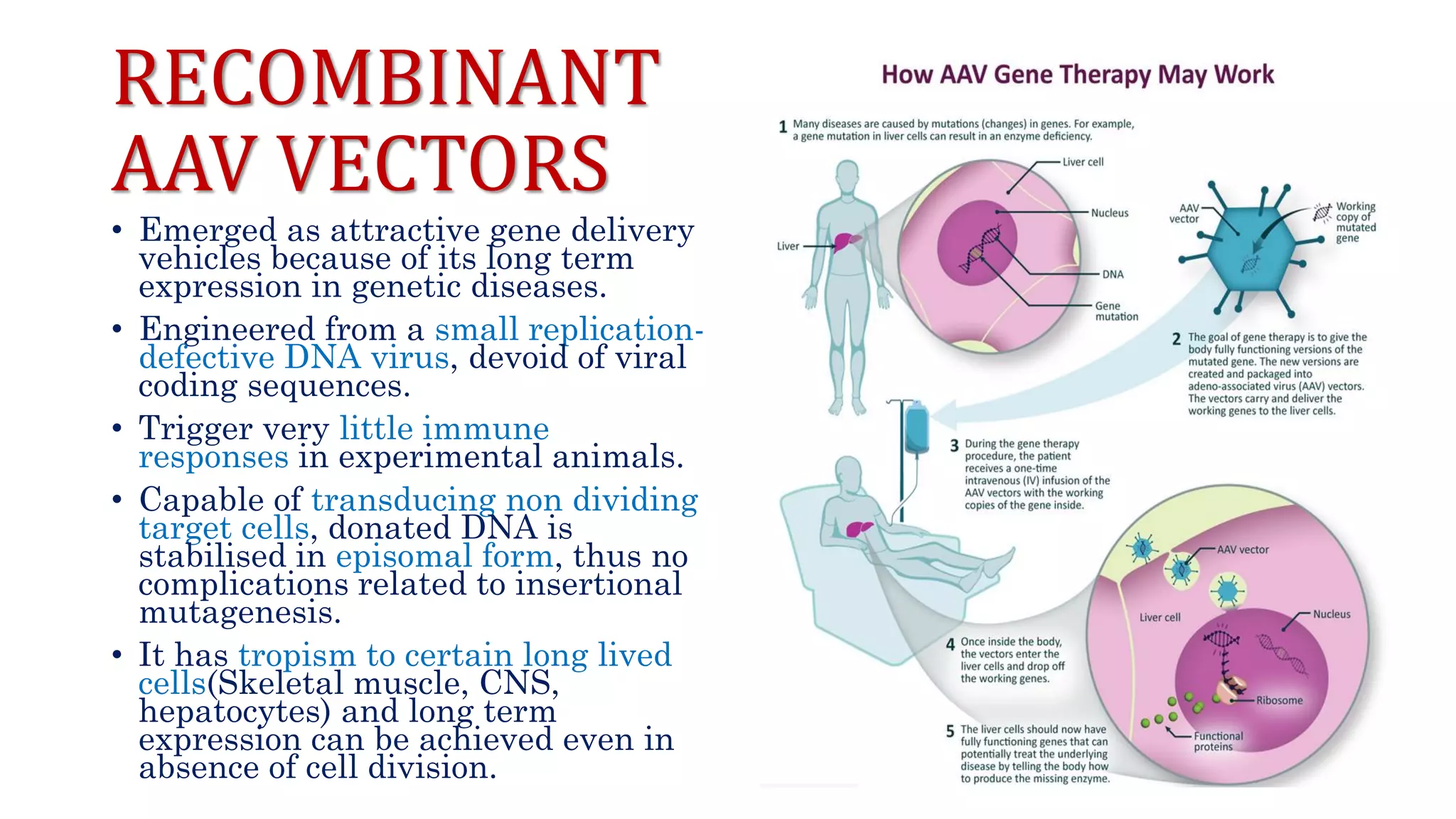 Gene based and cell based therapy in clinical medicine converted | PPT ...