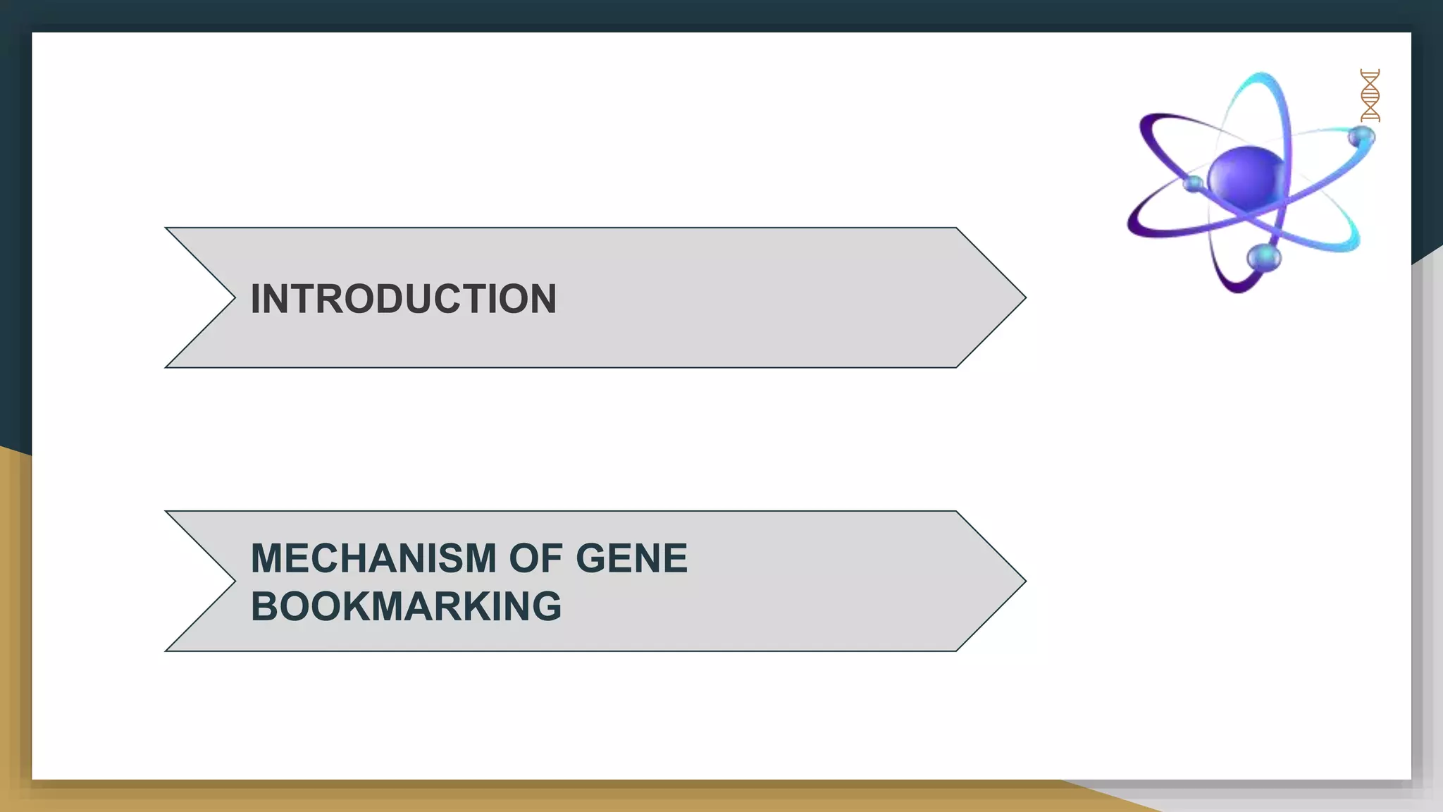 what is Gene bookmarking / Gene Bookmarking examples |Biology |IQ ...
