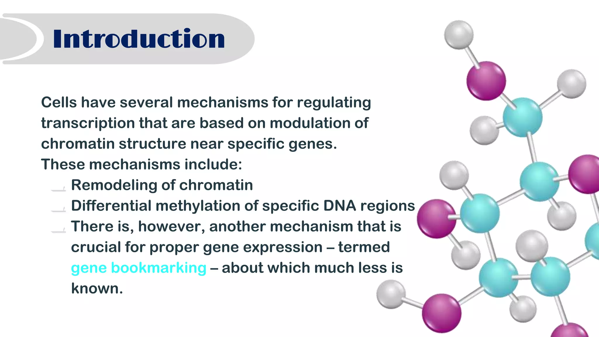 what is Gene bookmarking / Gene Bookmarking examples |Biology |IQ ...