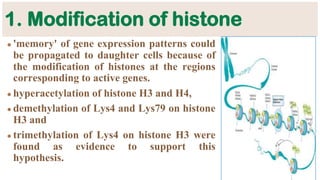 what is Gene bookmarking / Gene Bookmarking examples |Biology |IQ ...