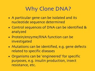 Gene cloning | PPT