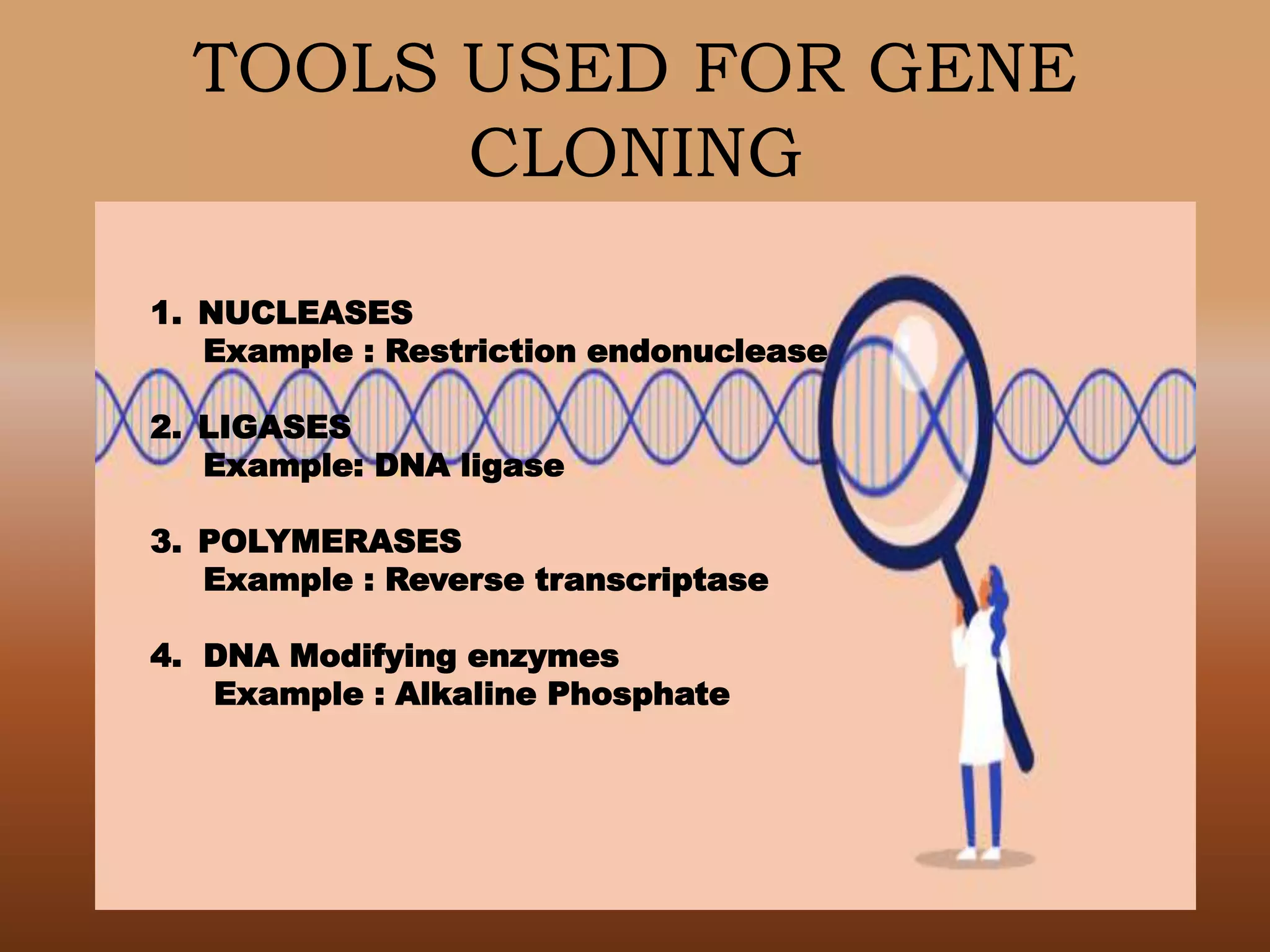 Gene cloning | PPT | Free Download