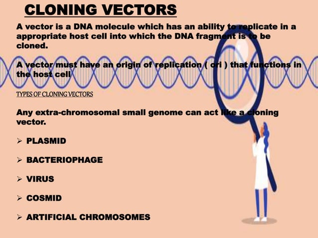 Gene cloning | PPT