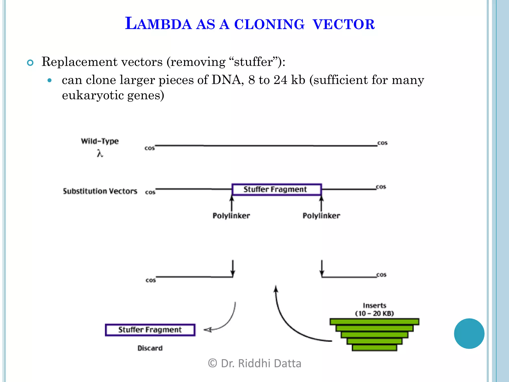 Basics of Gene cloning | PDF