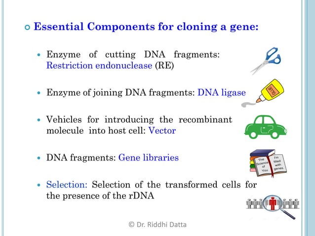 Basics of Gene cloning | PDF