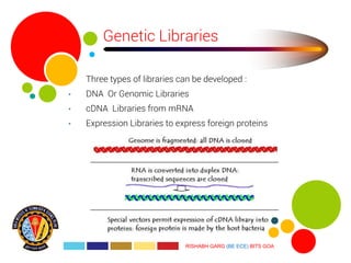 Gene cloning | PPT