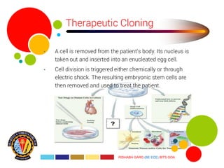 Gene cloning | PPT