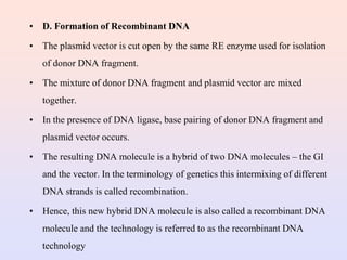 Gene cloning.ppt