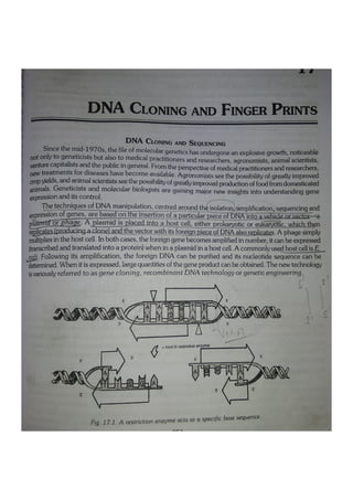 gene cloning.pdf
