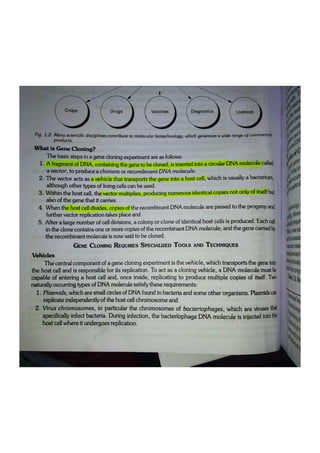 gene cloning.pdf