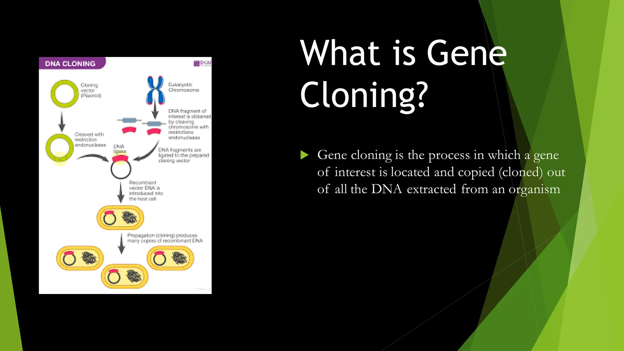 gene clonong its history and application | PDF
