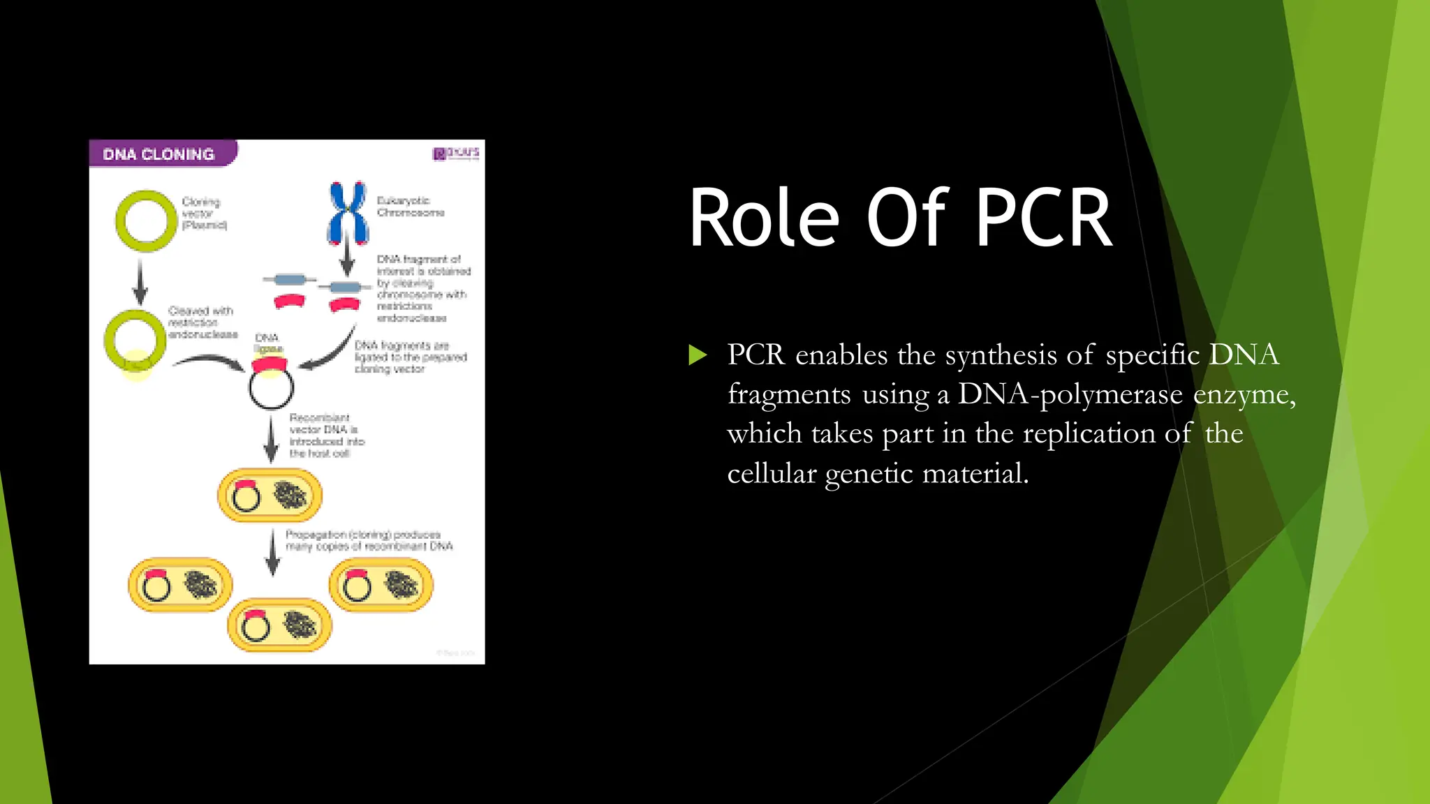 gene clonong its history and application | PDF