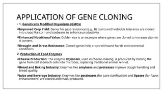 GENE CLONING. .pptx